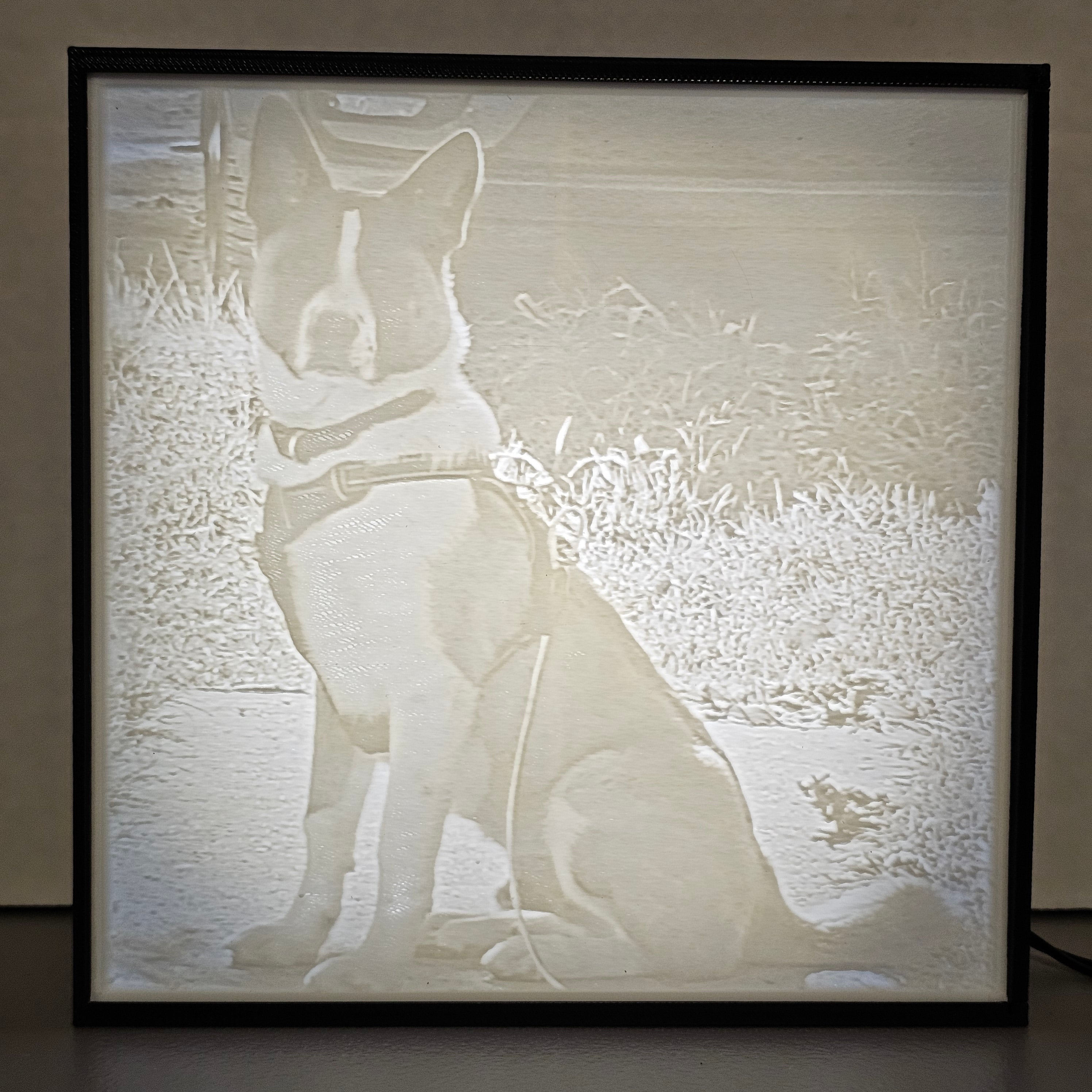 Custom Lithophane Light Box – 3D Printed Photo Gift with LED – Mesh3D Up